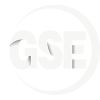 Structural Analysis and Design software - GSE Software